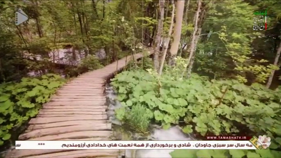 سجاد تاجیک-عید