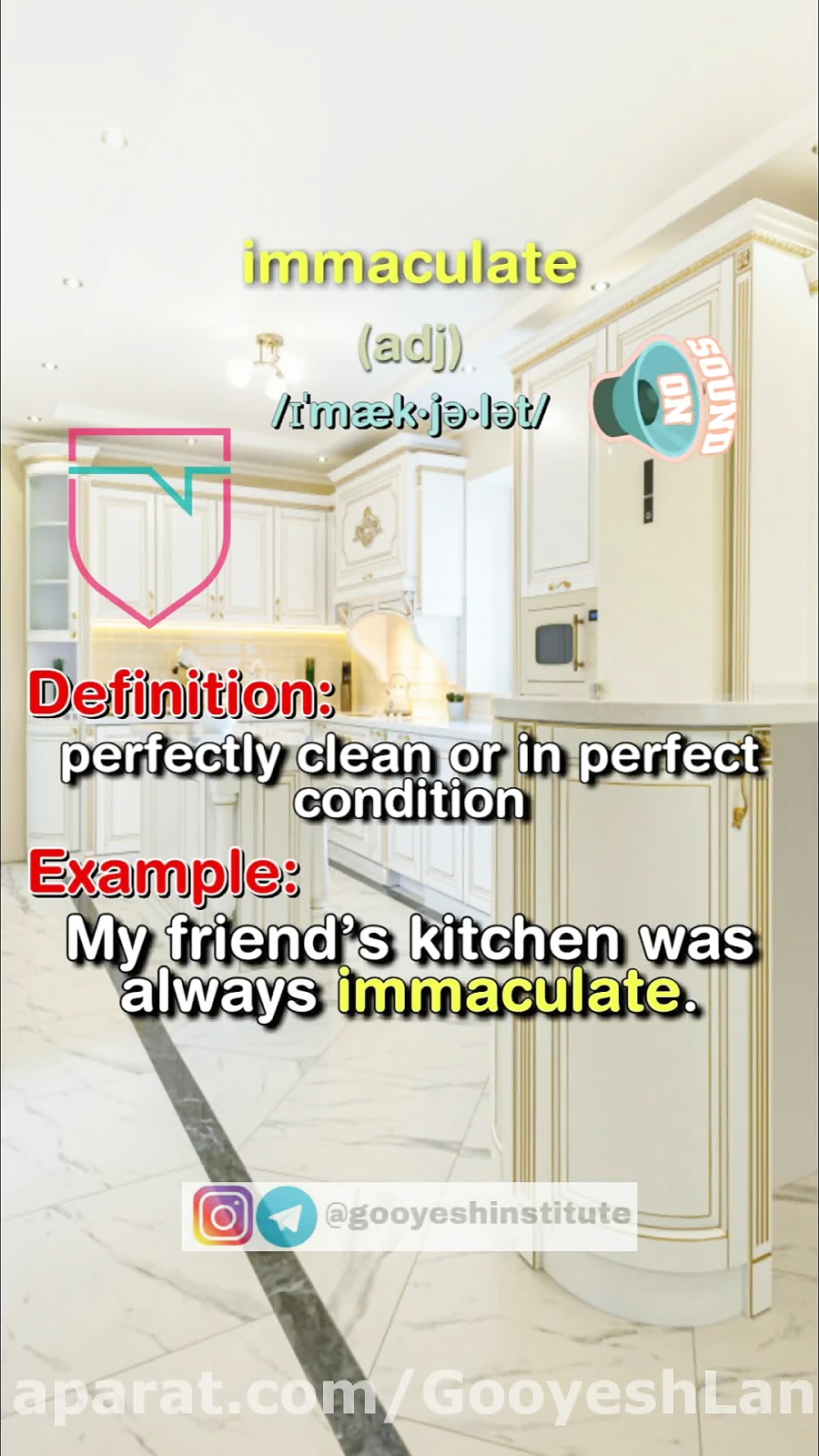 Vocabulary - Immaculate