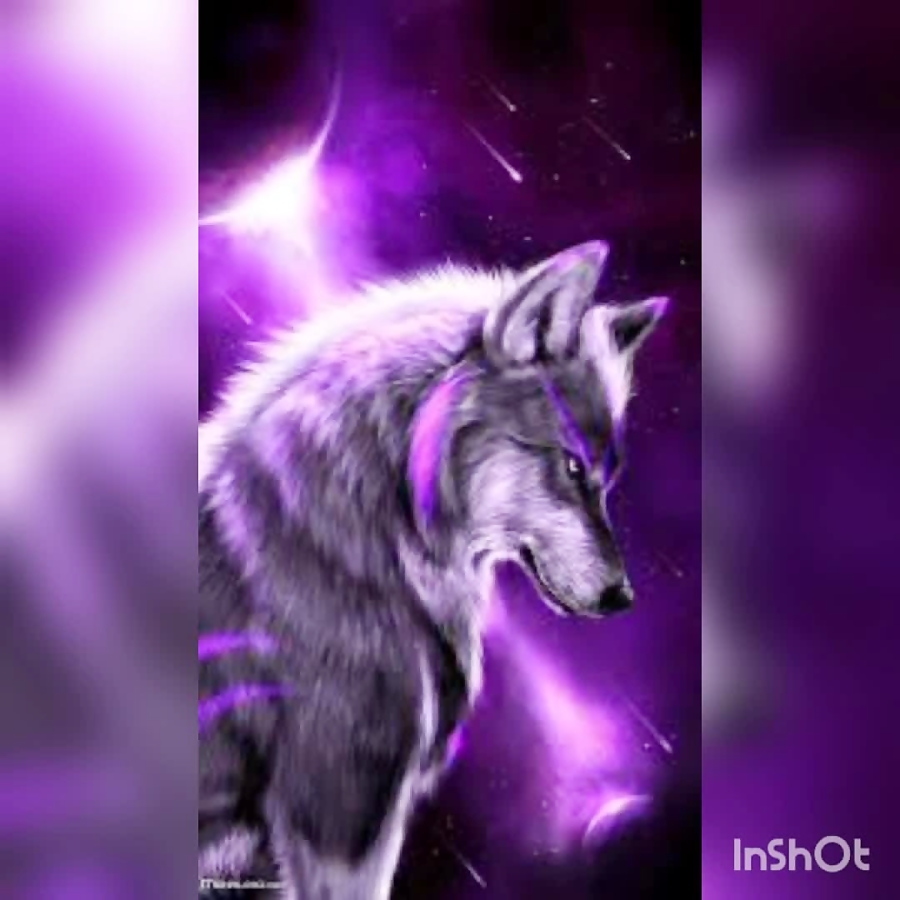 کلیپ خفن گرگ