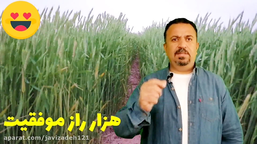 هزار راز موفقیت در یک فیلم ...دکتر سعید جوی زاده