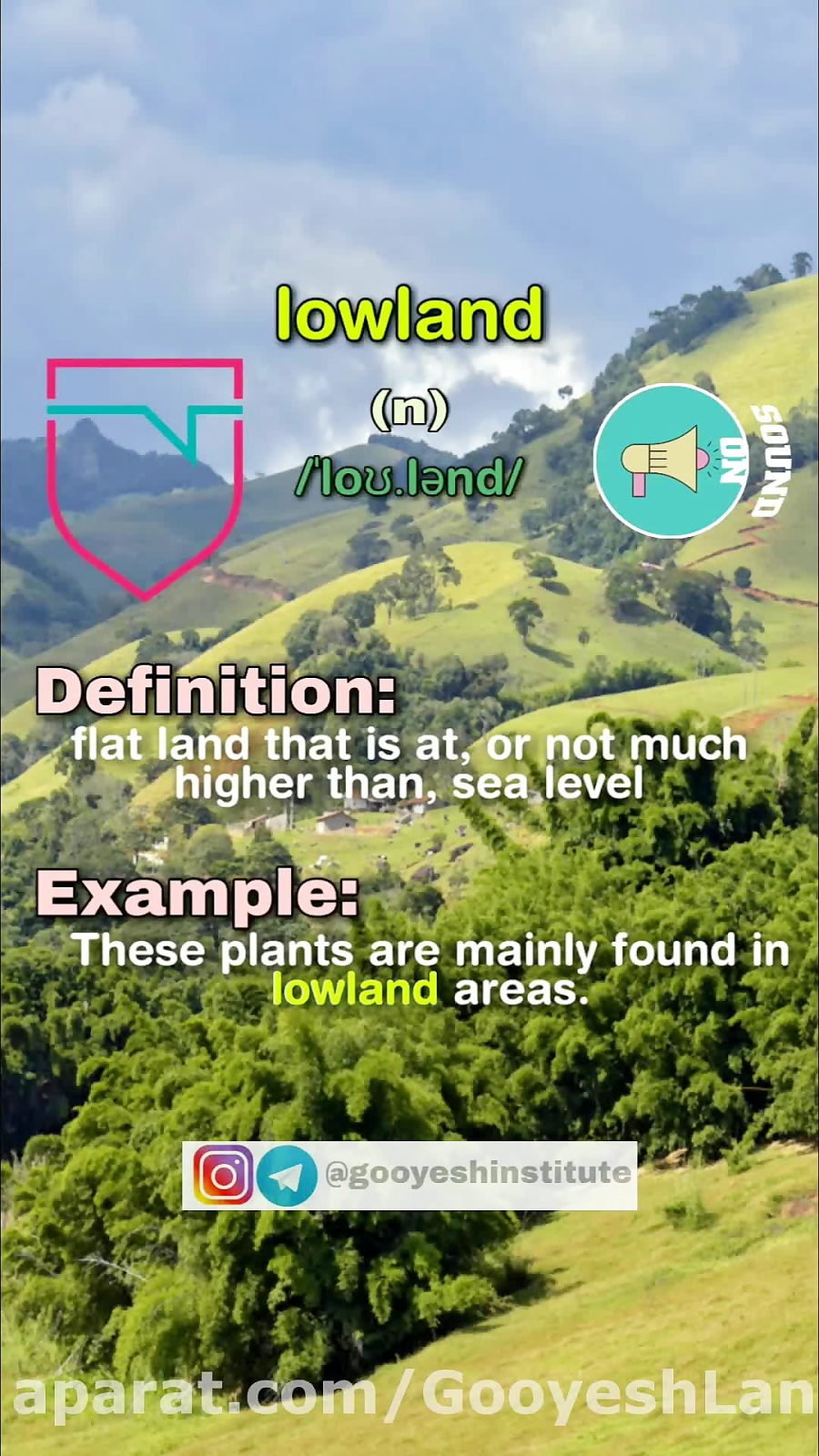 Vocabulary- Lowland
