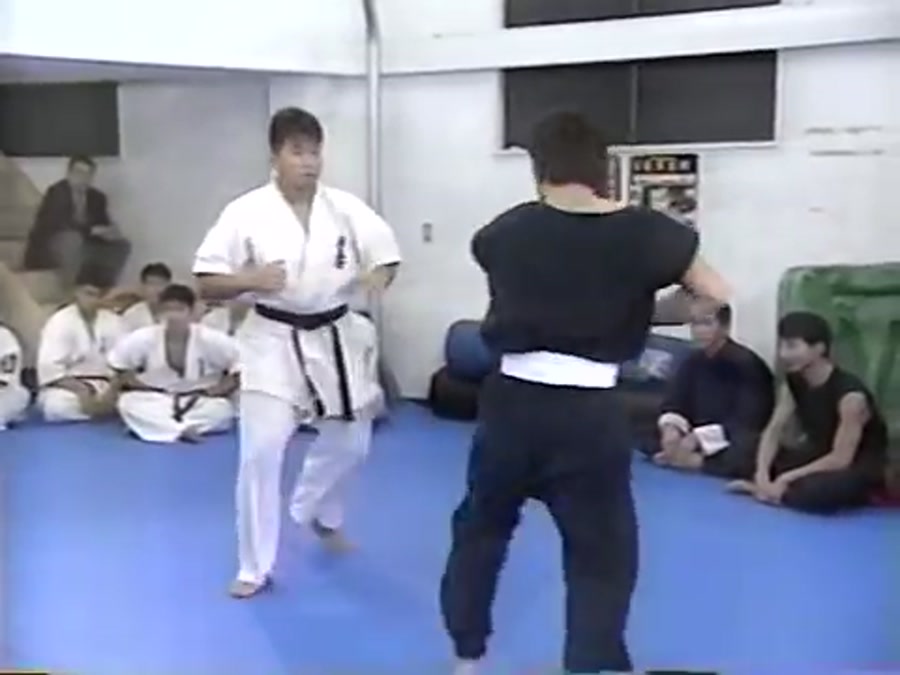 فیلم سینمایی رزمی و اکشن زندگی پس از مبارزه2024