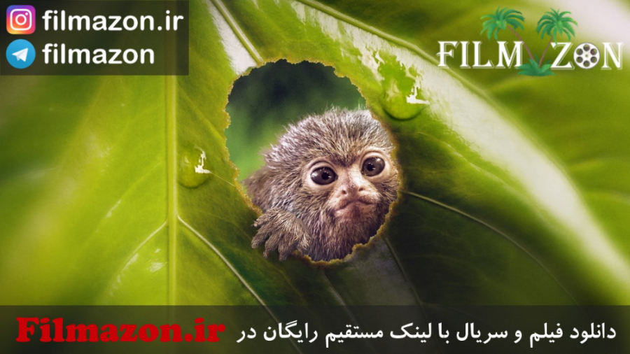 تریلر سریال Tiny World 2020