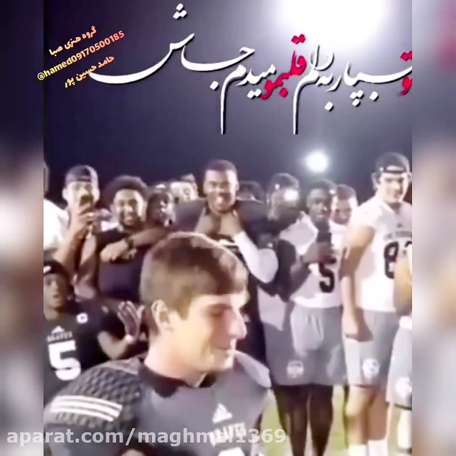 حامد حسین پور