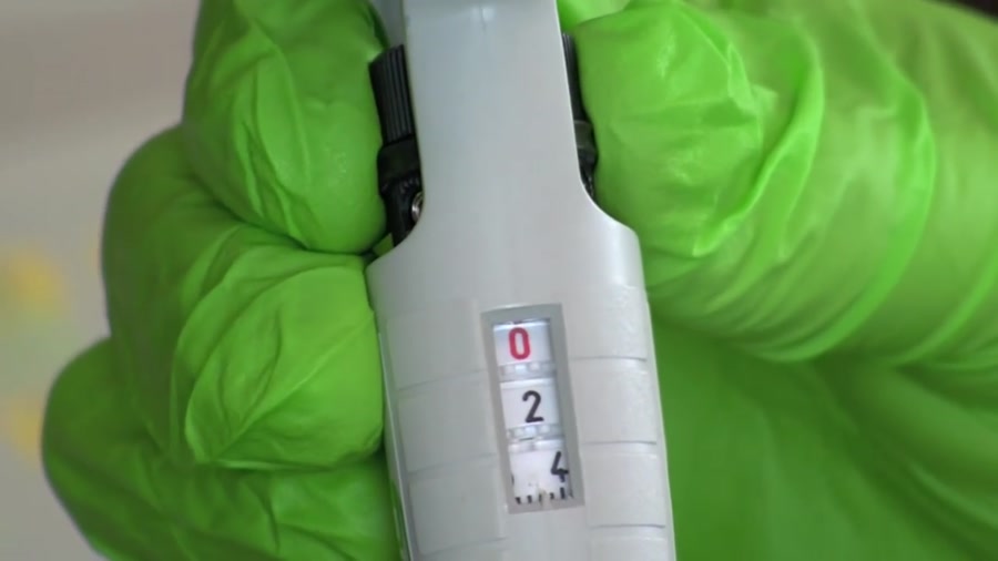 DNA Quantitation Using a Spectrophotometer