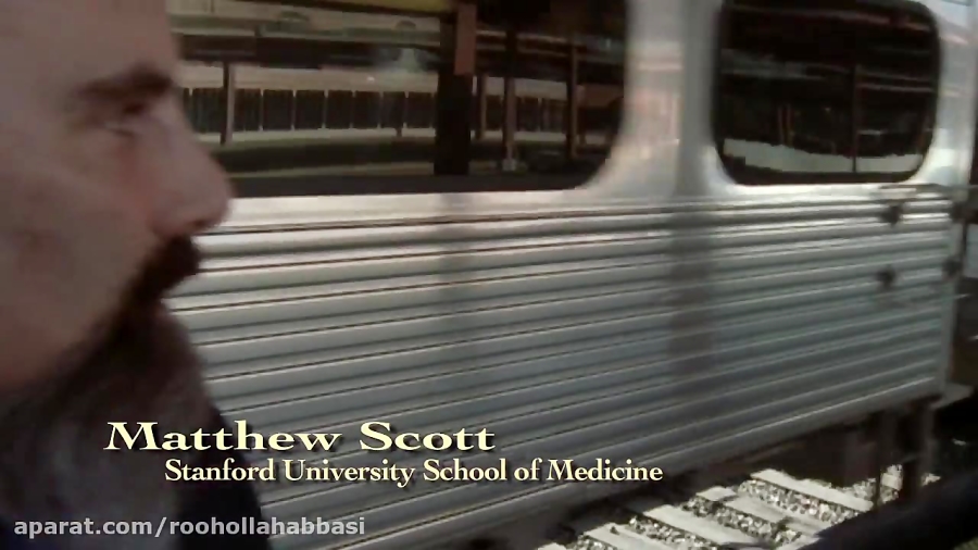 Genetics: How Genes Direct Development