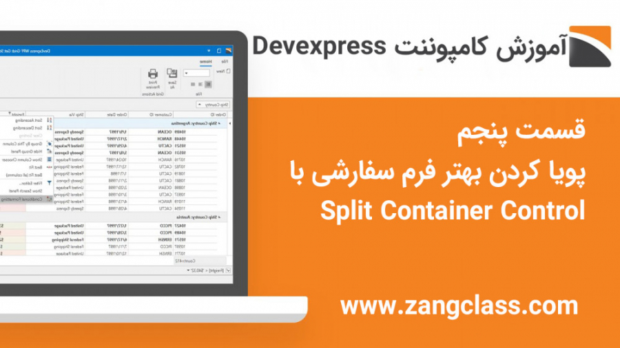 آموزش کامپوننت Devexpress قسمت پنجم بهتر فرم سفارشی با Split Container Control