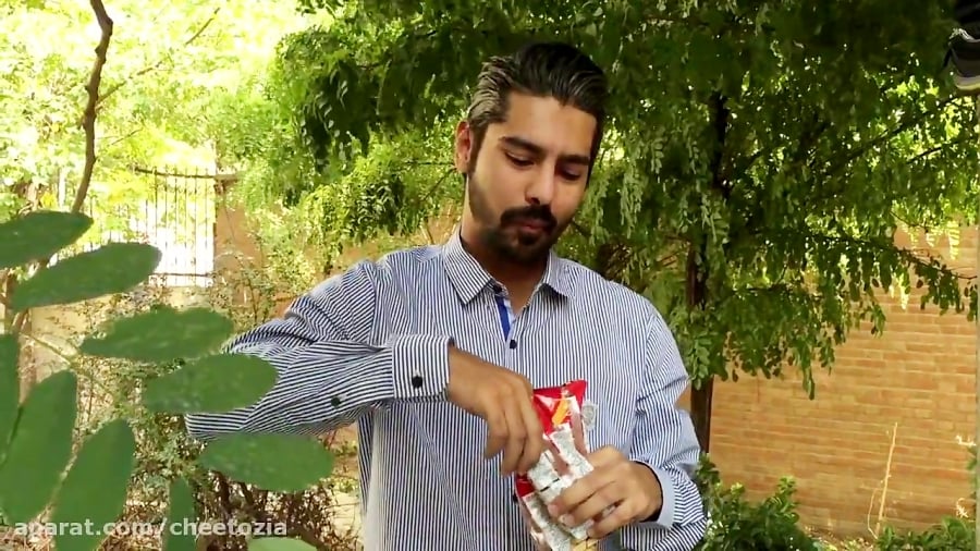 آلبوم چیتوزی