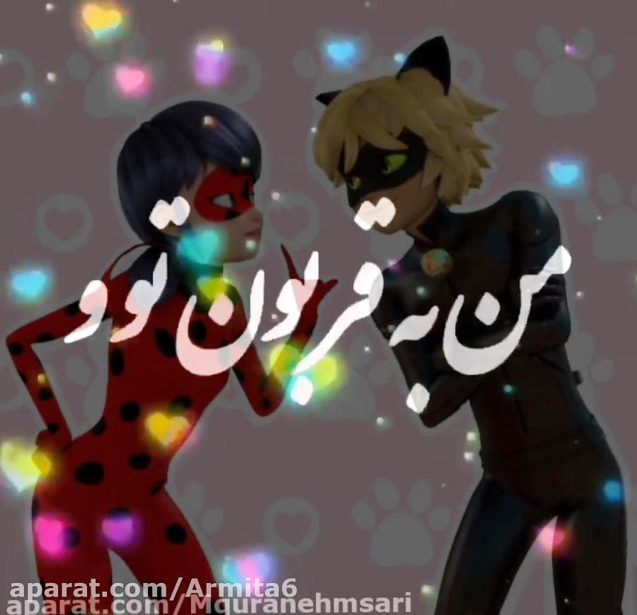 کلیپ عاشقانه لیدی باگ و کت نوار
