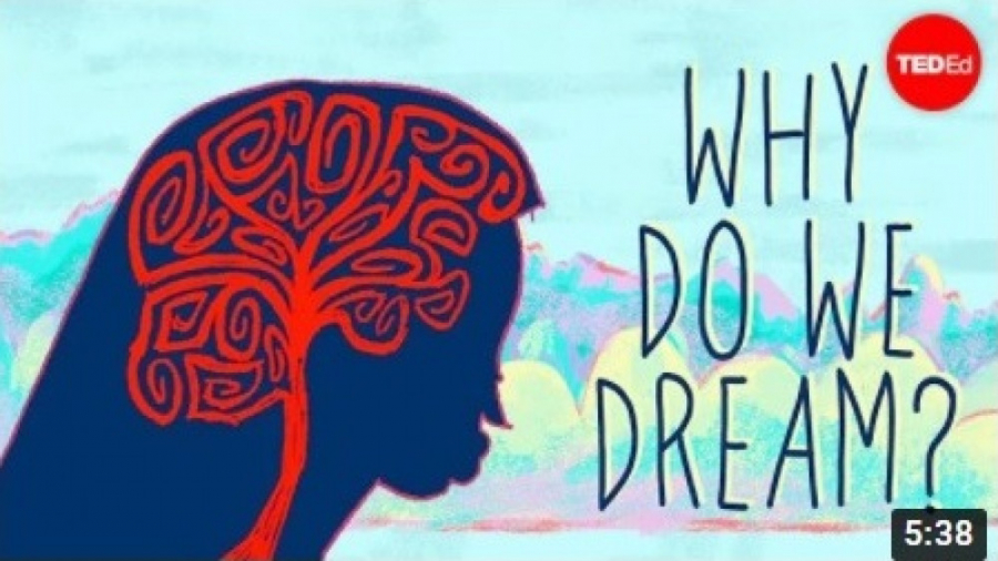Why Do We Dream