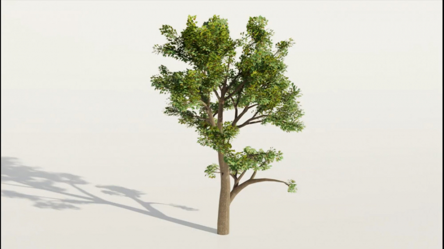 Easy Tree Creation In Blender