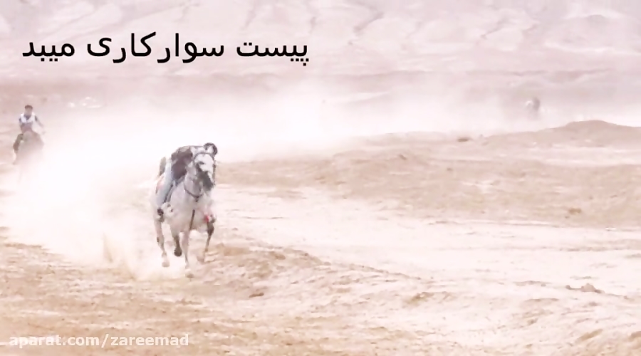 کورس اسب عرب