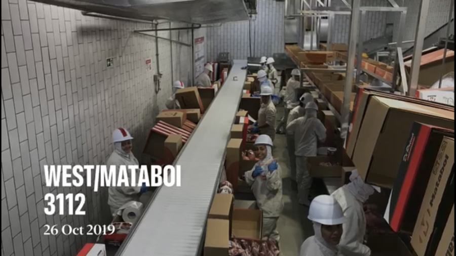 تولید گوشت گوساله منجمد برزیلی Mataboi