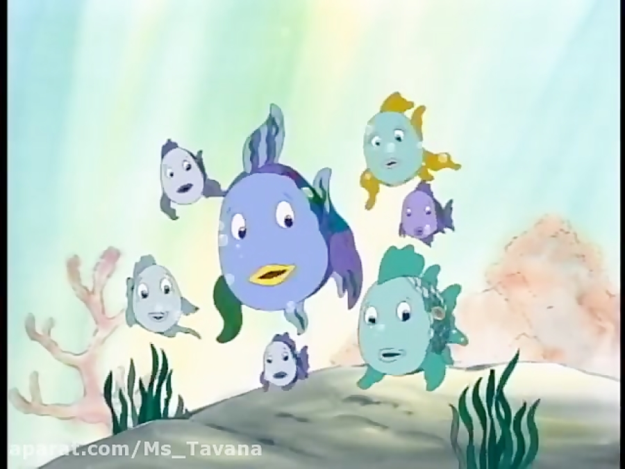 Rainbow Fish_01