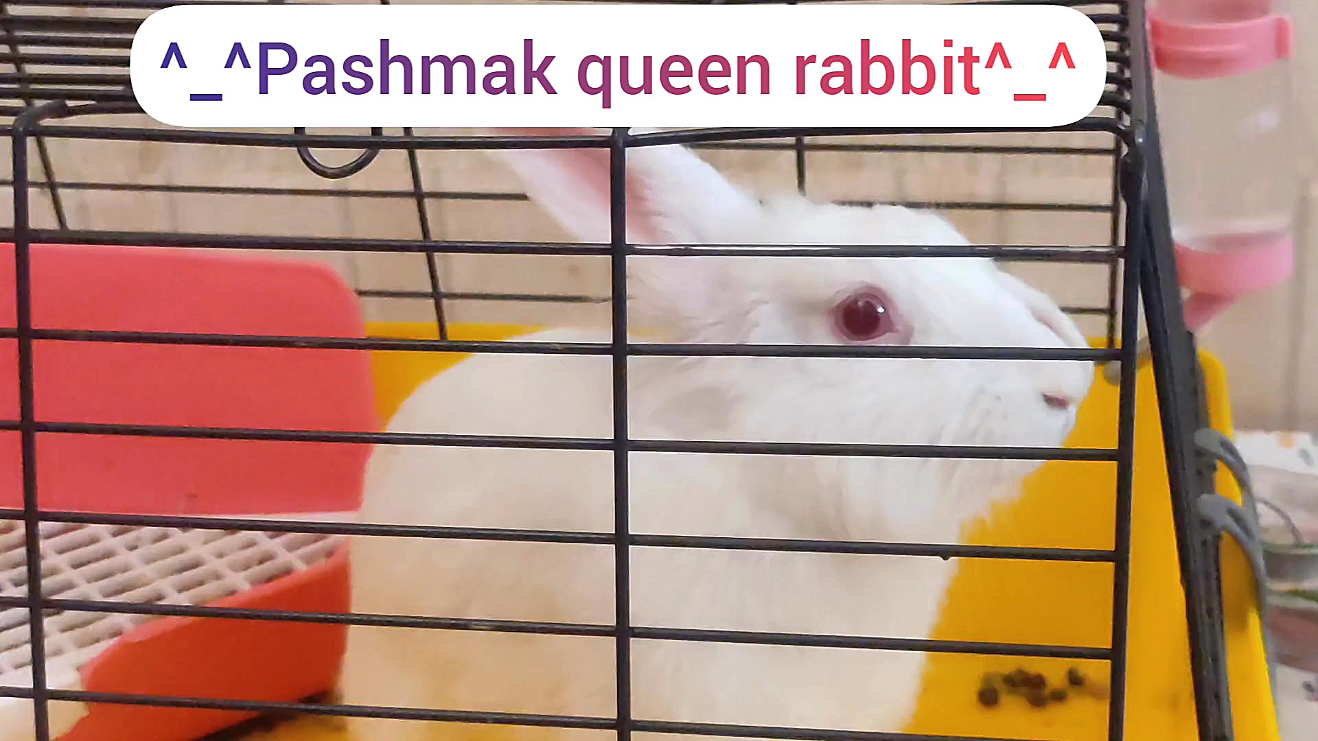 ^_^like my channel