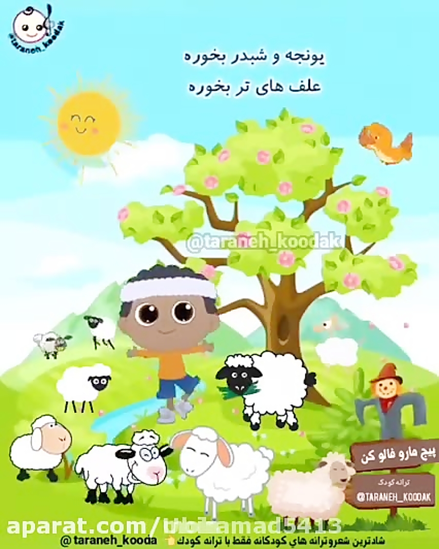 شعر زیبای گوسفند