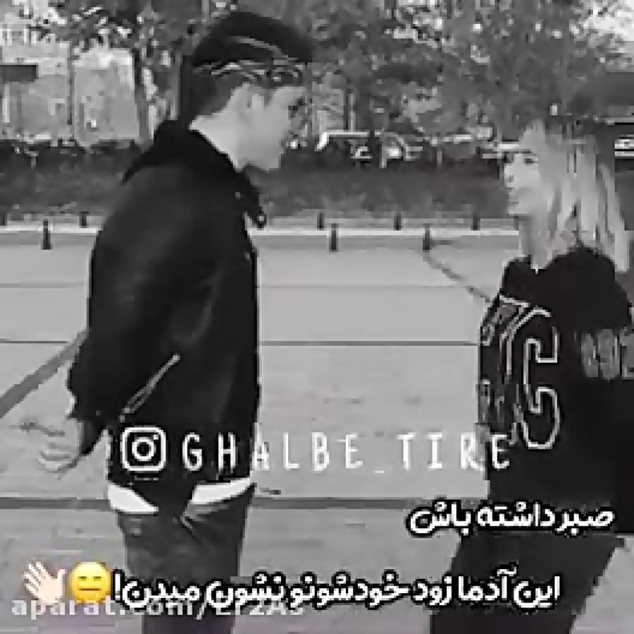 کلیپ شاخ