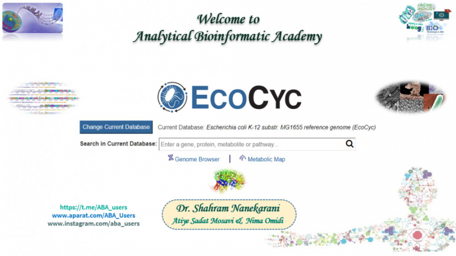 معرفی پایگاه داده EcoCyc