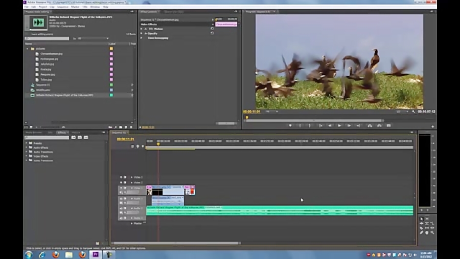 Adobe Premiere Pro CS6 Tutorial: Basic Editing