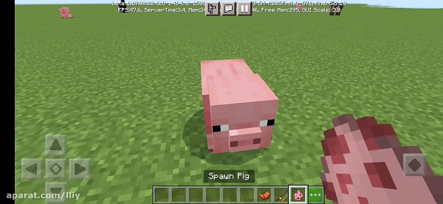 سوار شدن روی خوک