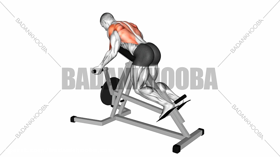 81-زیربغل تی بار دستگاه خوابیده مچ برعکس lever lying reverse T bar row