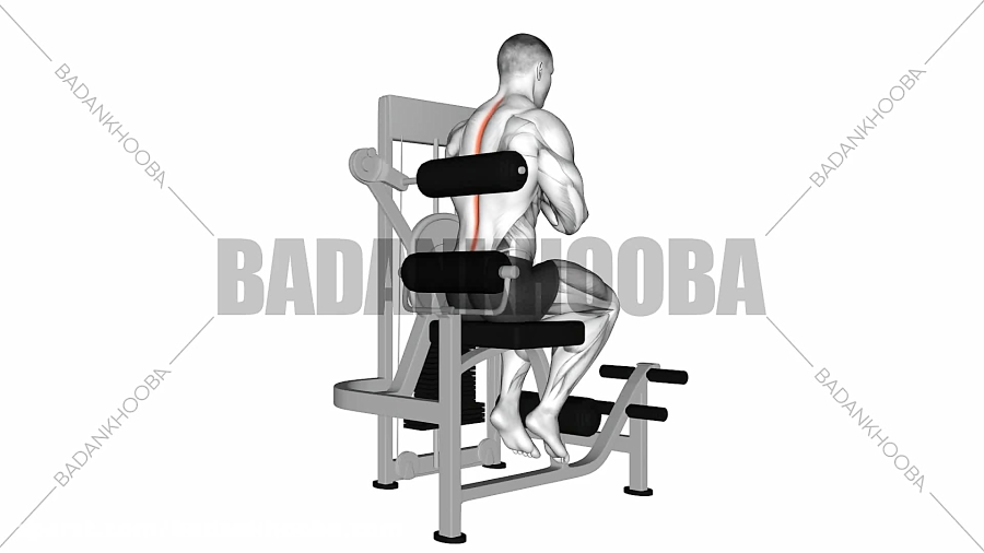 86- فیله کمر دستگاه نشسته lever back extension