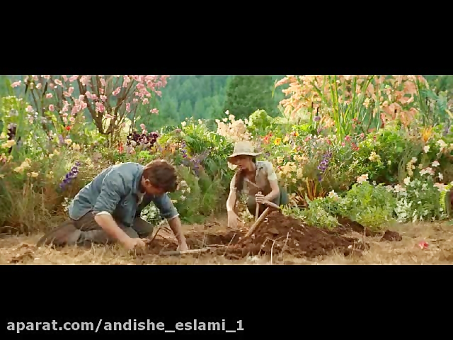 فیلم شماره 34