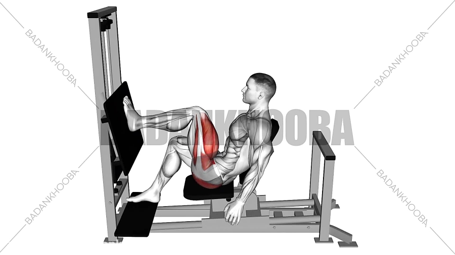 لانچ با دمبل تک پا ثابت