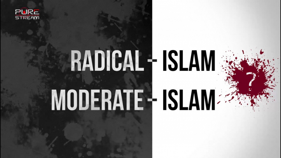 Radical Islam - Moderate Islam | Sayyid Hashim al-Haidari