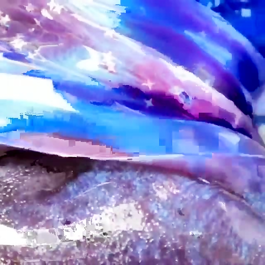 ۱ نفر منو آنفالو کردههههههه دلیل بیاره بقیه هم بگید چی بزارم تو پیجم ...