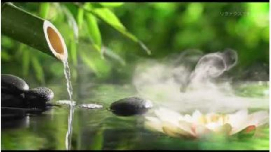 موسیقی بی کلام | ذهن خود را آرام کنید، استرس را از بین ببرید | بامبو