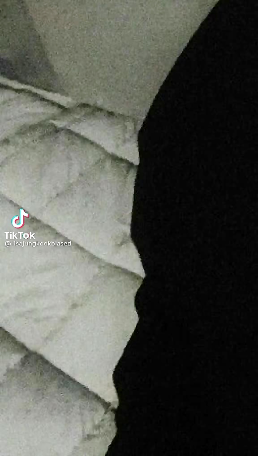 لیزکوک _Lisa kok _bts