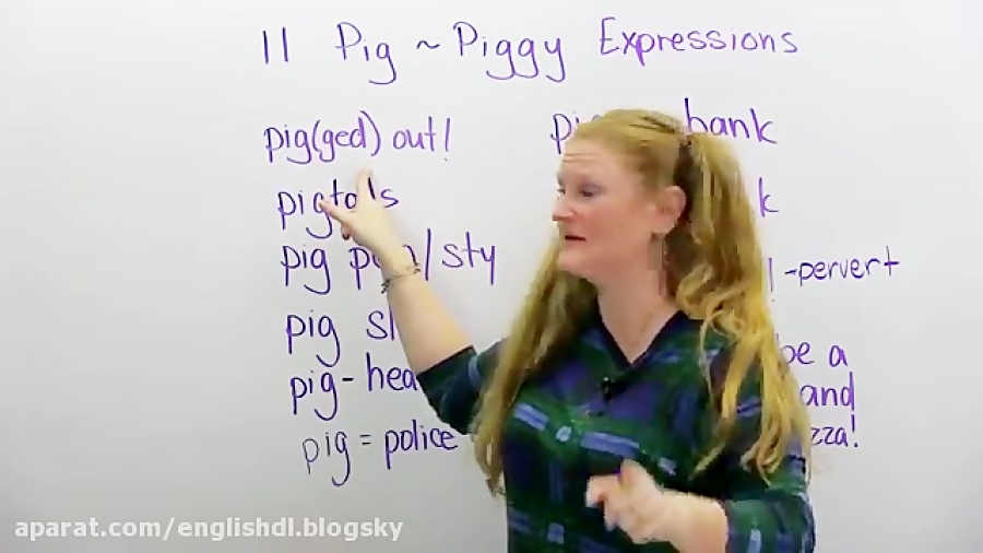 PIG expressions in English: pig out, pig tails, piggy