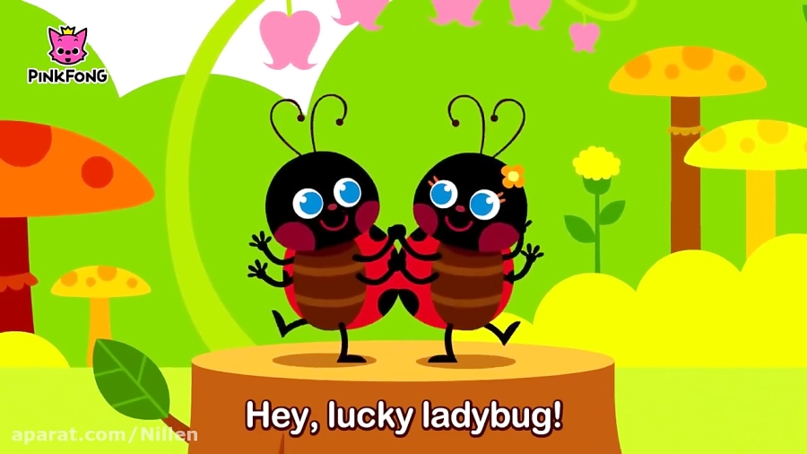 Ladybug song for children