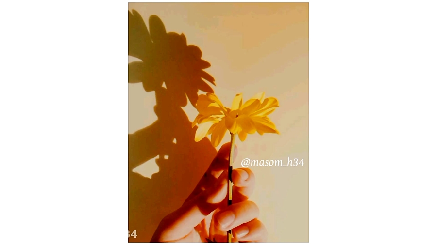 اولین ادیت و گویندگی من