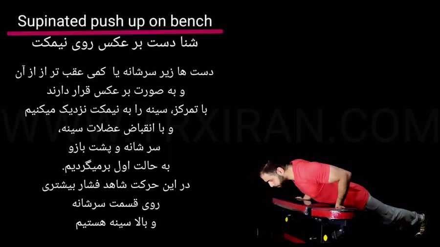 Supinated push up on bench_شنا دست برعکس روی نیمکت