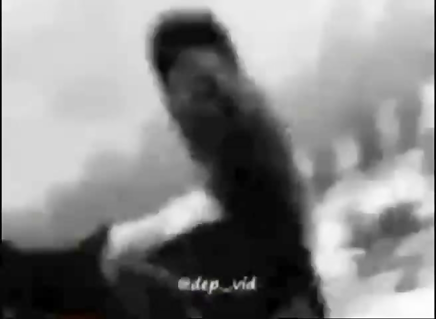 گرگ باش