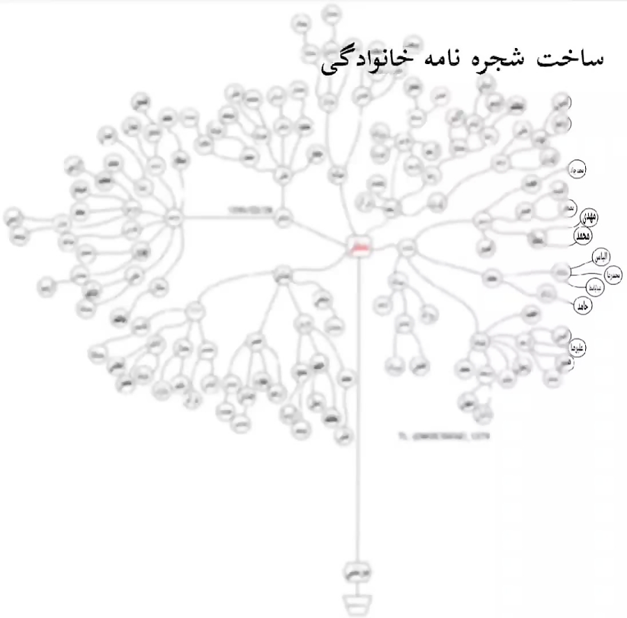 ساخت درخت خانواده شجره نامه
