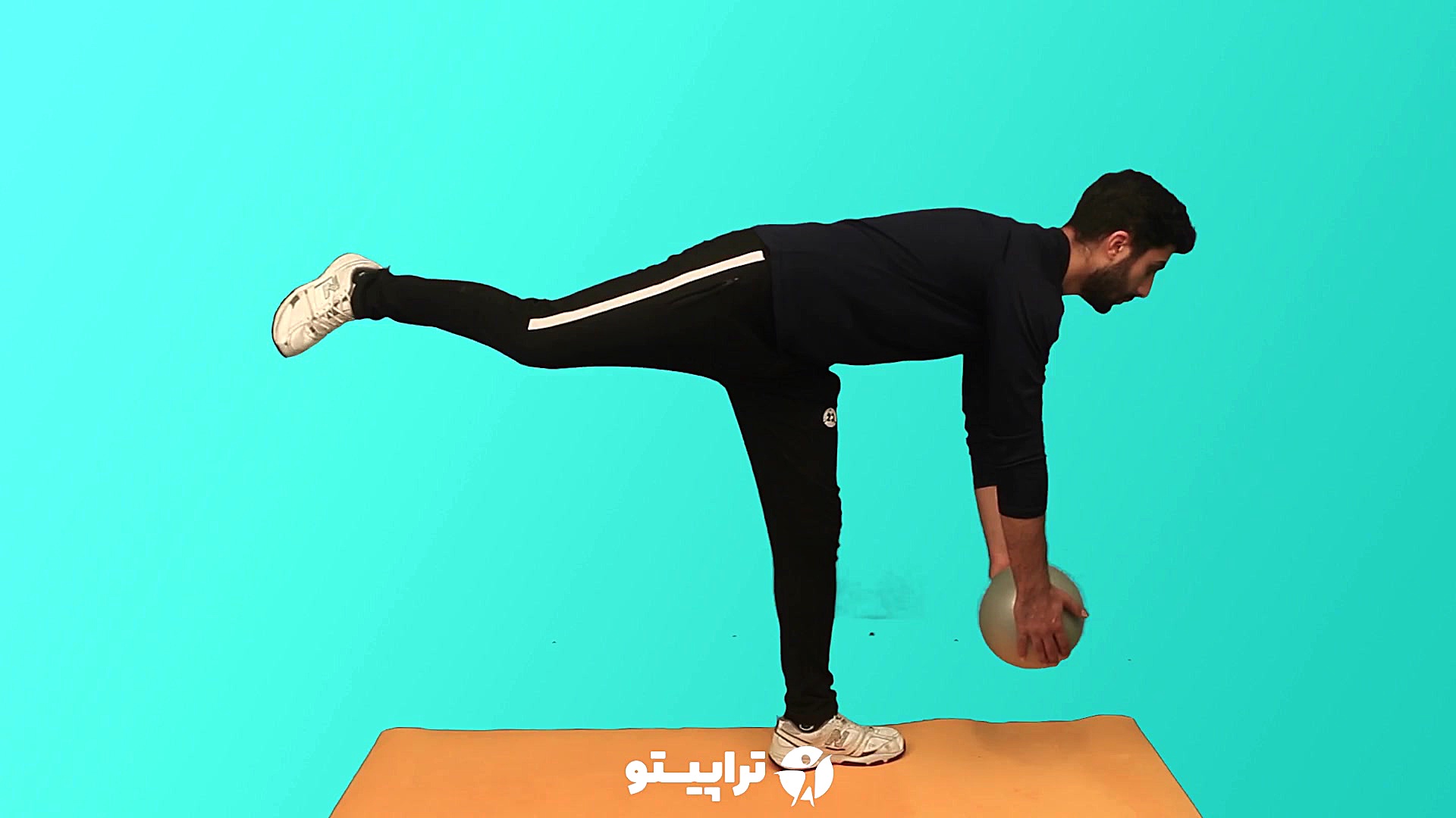 Single Leg RDL with Stability Hop with Medicine Ball