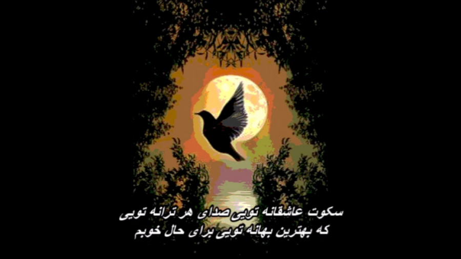 راغب - سکوت عاشقانه /// Sokoote Asheghaneh - Ragheb