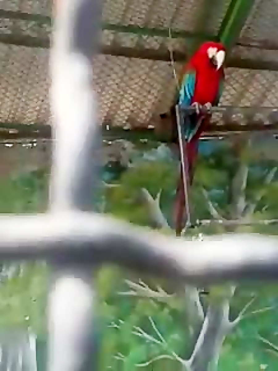 باغ وحش پارت 3