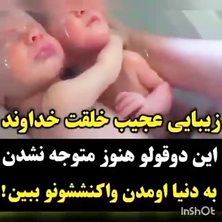 زیبایی های خلقت خداوند
