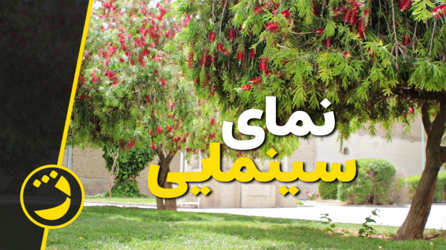 بی رول سینمایی با گیمبال