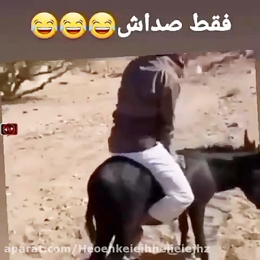 خر گوز