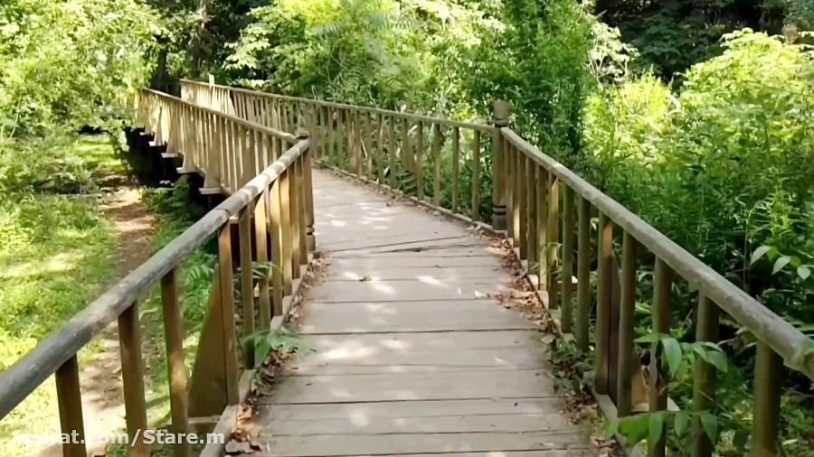 پل چوبی تالاب جوکندان تالش