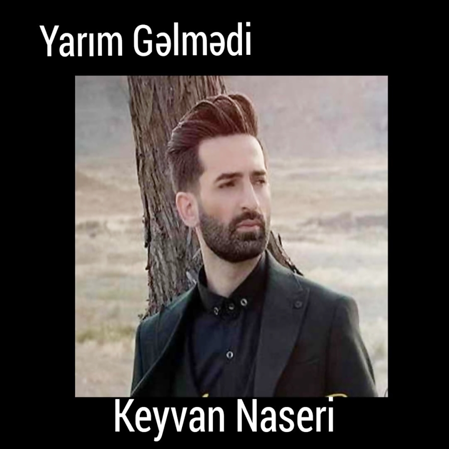 keyvan naseri meni yoldan eden yar , کیوان ناصری