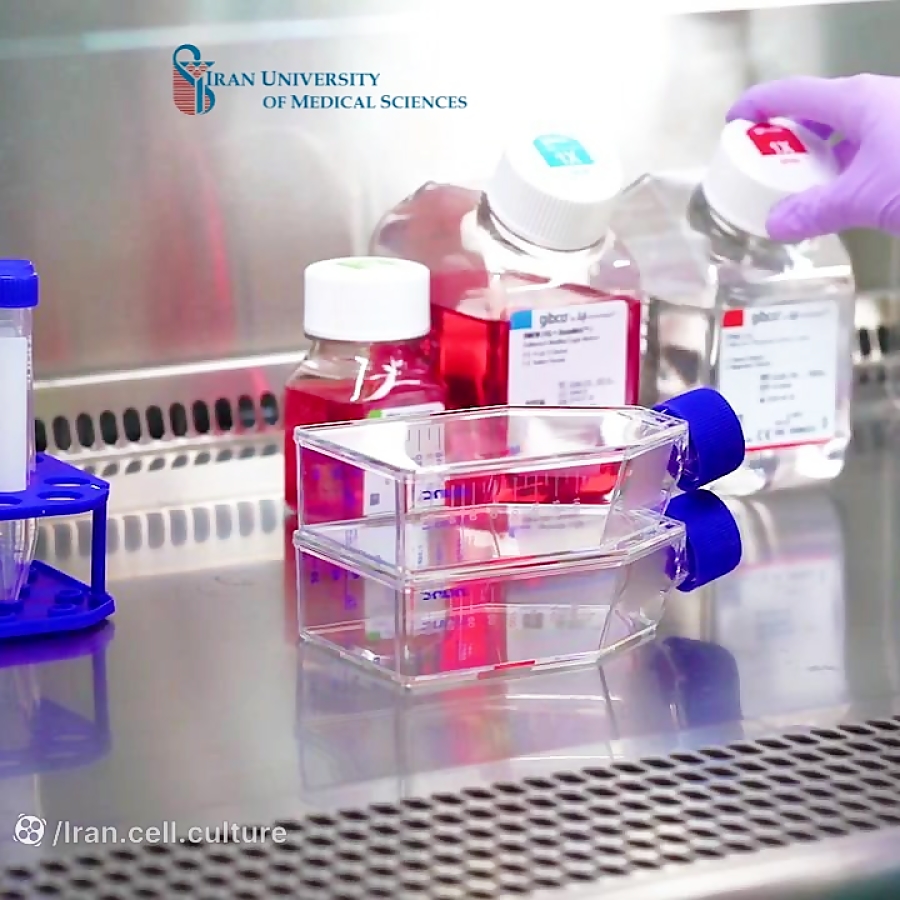 آموزش فریز کردن سلول ها (cell freezing)