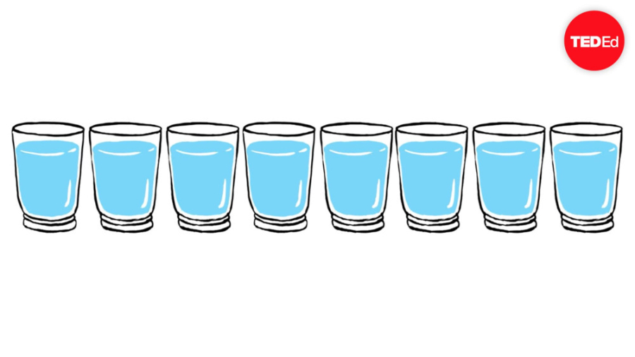 What would happen if you didn't drink water