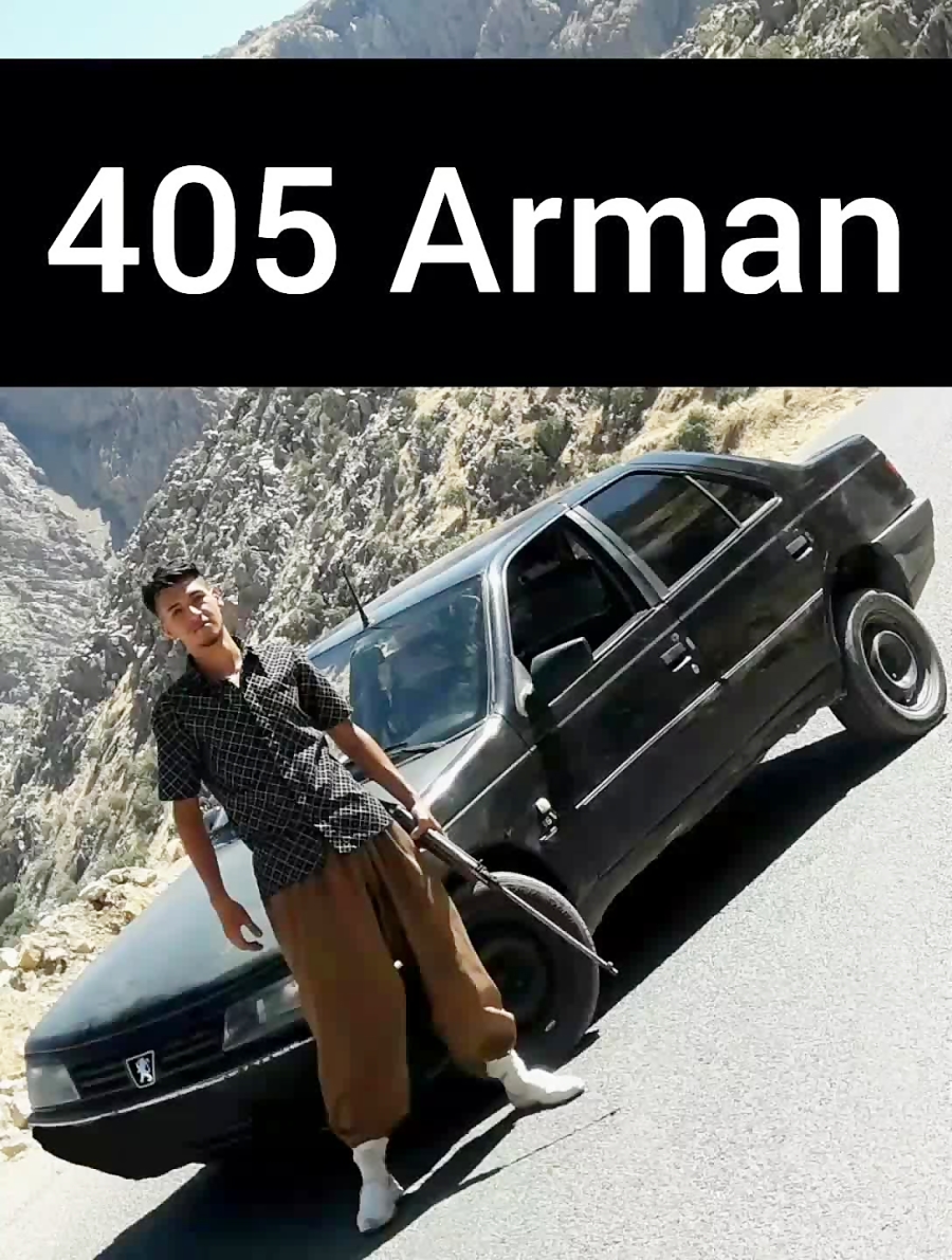Arman 405
