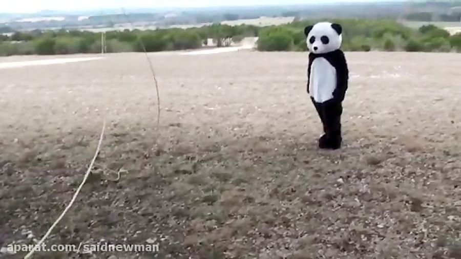 Dude Perfect Panda - Episode 3